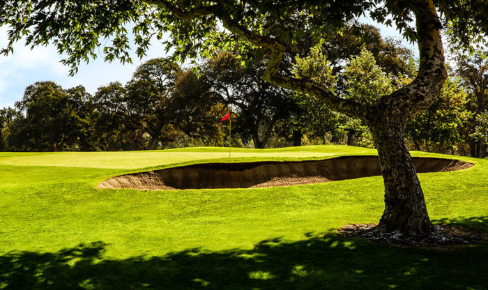 Pure Select | Products | Tee-2-Green